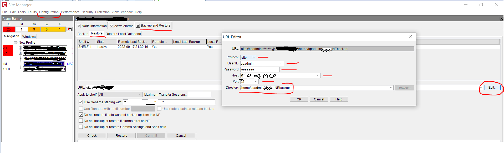 Mcp How To Fetch Db From Mcp And Restore It On 6500